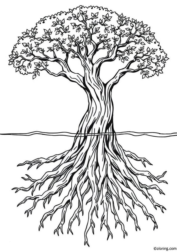 Desenho De Arvore Com Raizes